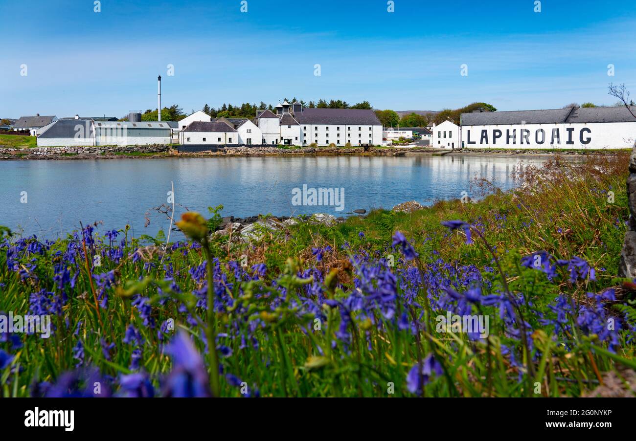 Exterior view of Laphroaig scotch whisky distillery at Kildalton on ...