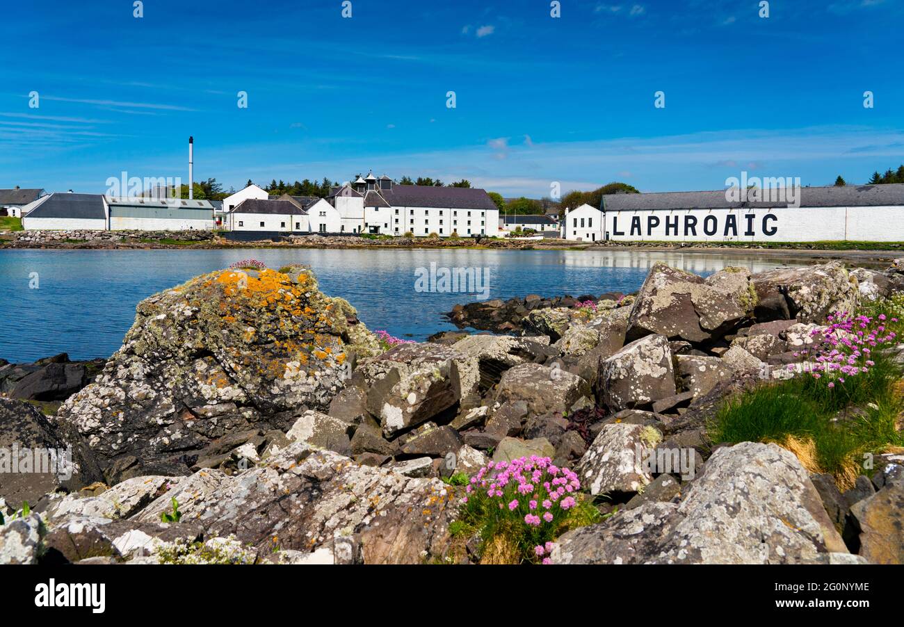 Exterior view of Laphroaig scotch whisky distillery at Kildalton on ...