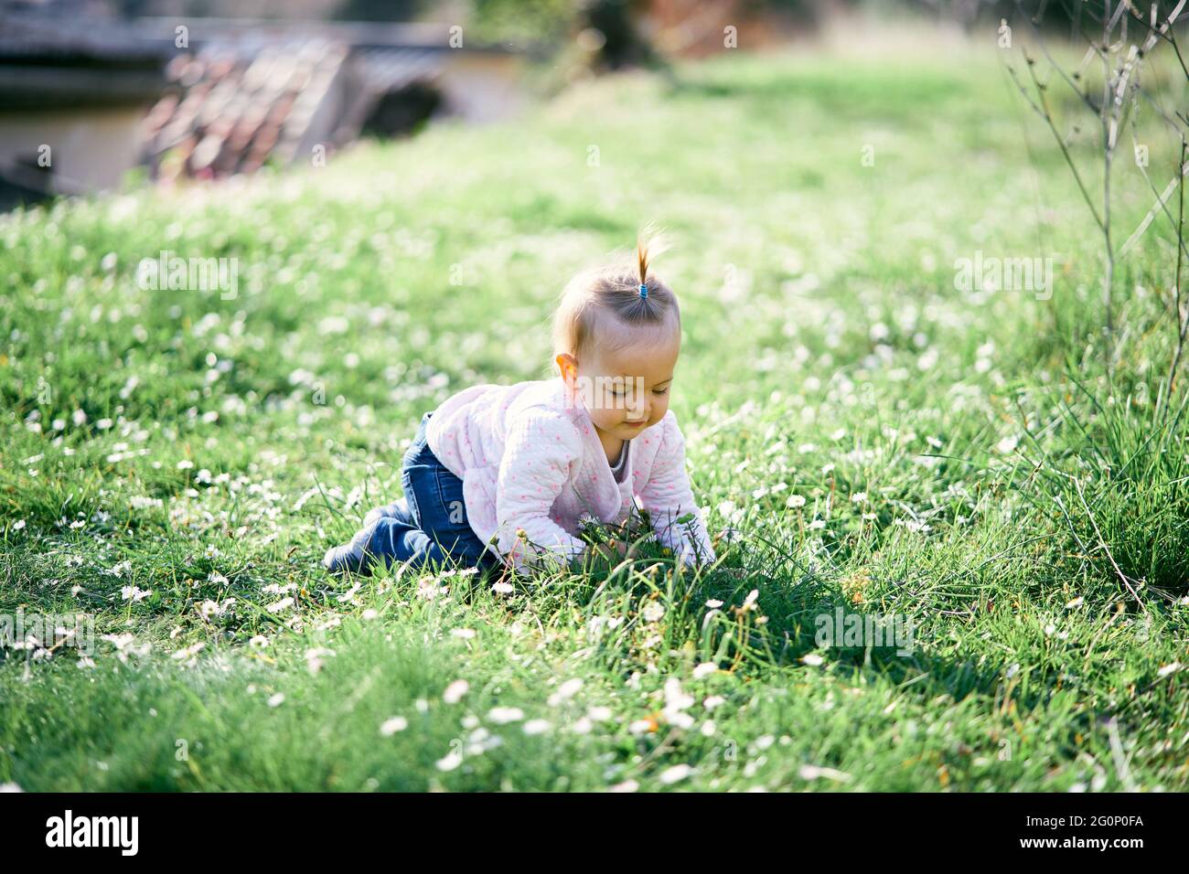 Little baby crawling on a green lawn among white daisies Stock Photo ...