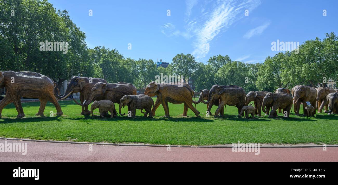 2 June 2021. Hand crafted Elephants from the Co-Existence Herd ...