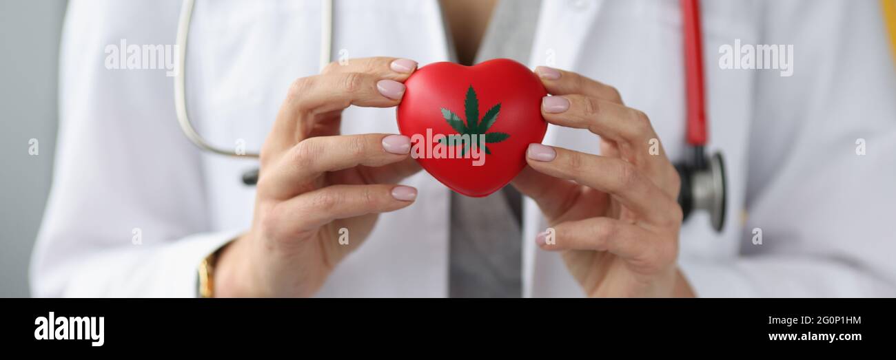 Doctor holds heart with marijuana sign closeup Stock Photo - Alamy