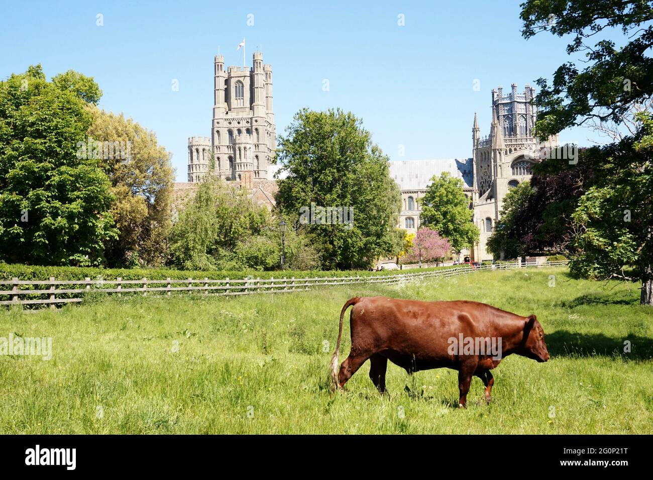 West cambridgeshire countryside hi-res stock photography and images - Alamy