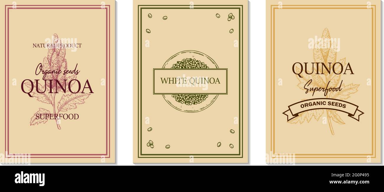 Set of Quinoa vertical packaging design with hand drawn element. Vector ...