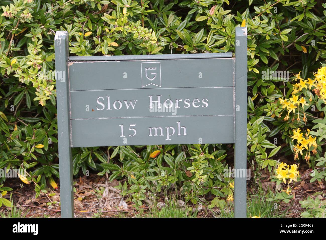 Glenapp Castle, Ballantrae, Girvan KA26 0NZ, Scotland, UK. 5 Star ...