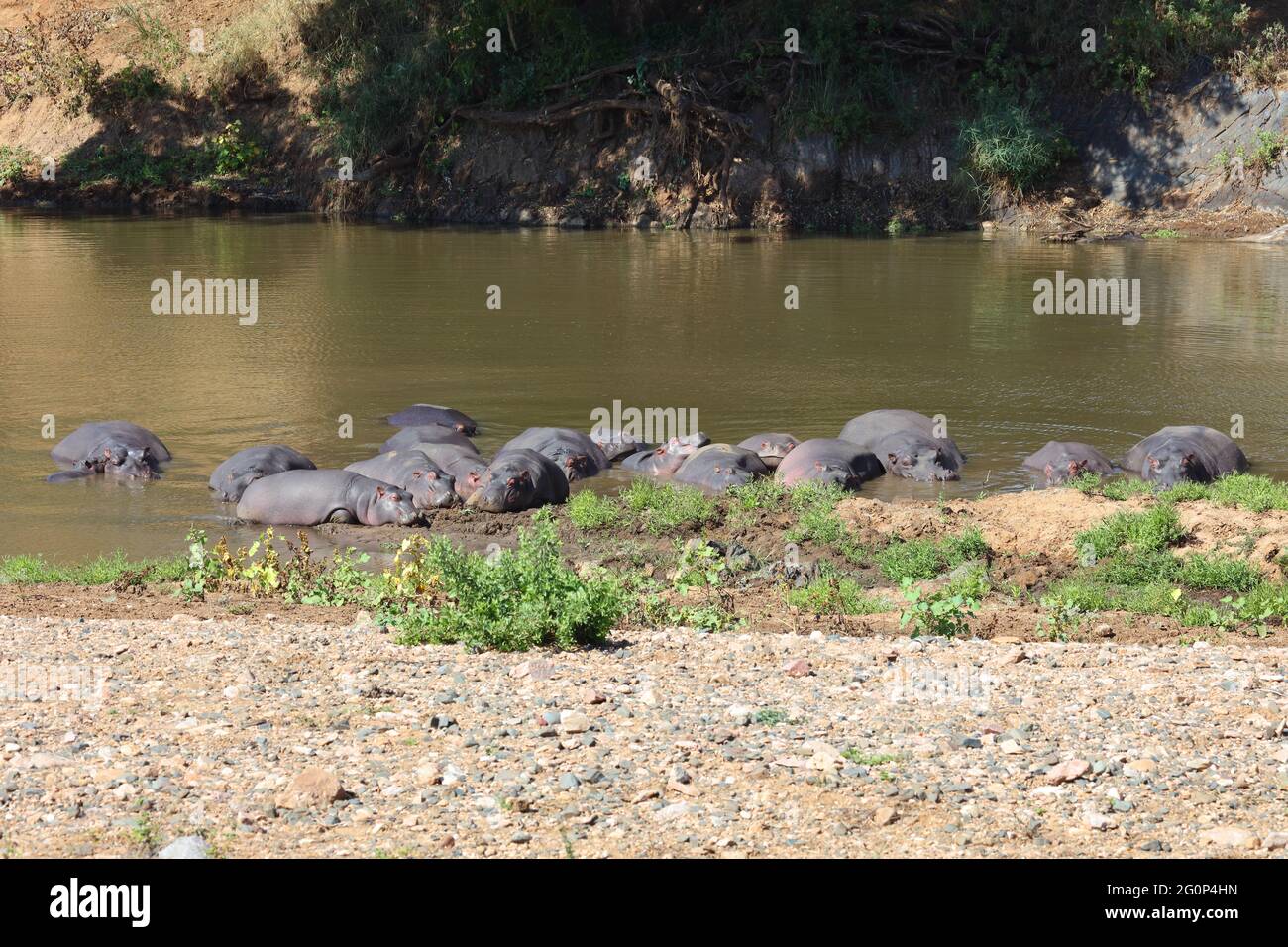 Mphongolo river hi-res stock photography and images - Alamy