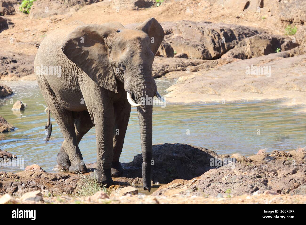 Mphongolo river hi-res stock photography and images - Alamy