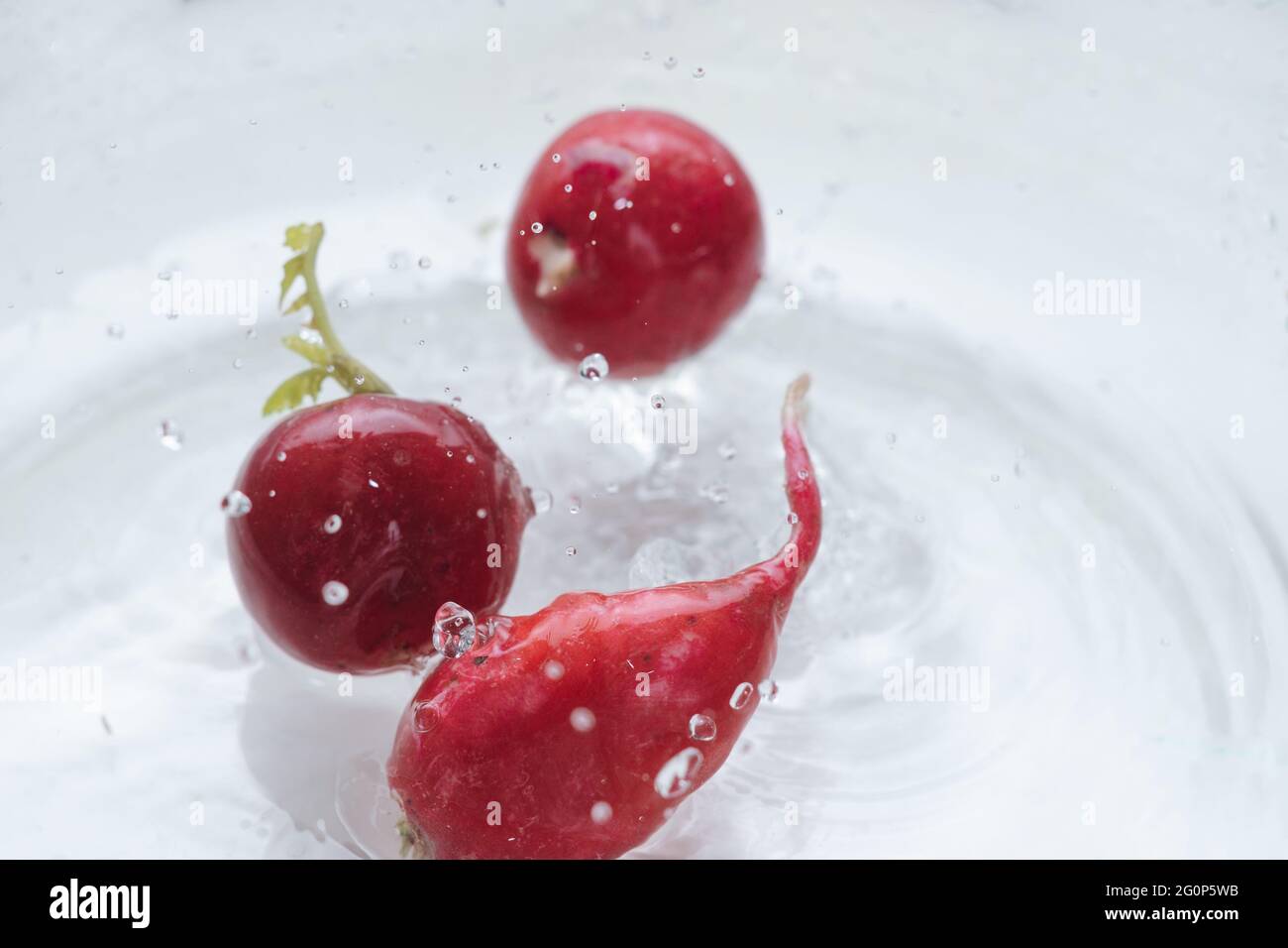 Fresh radish in water splash. Healthy food background. Spring or Summer ...