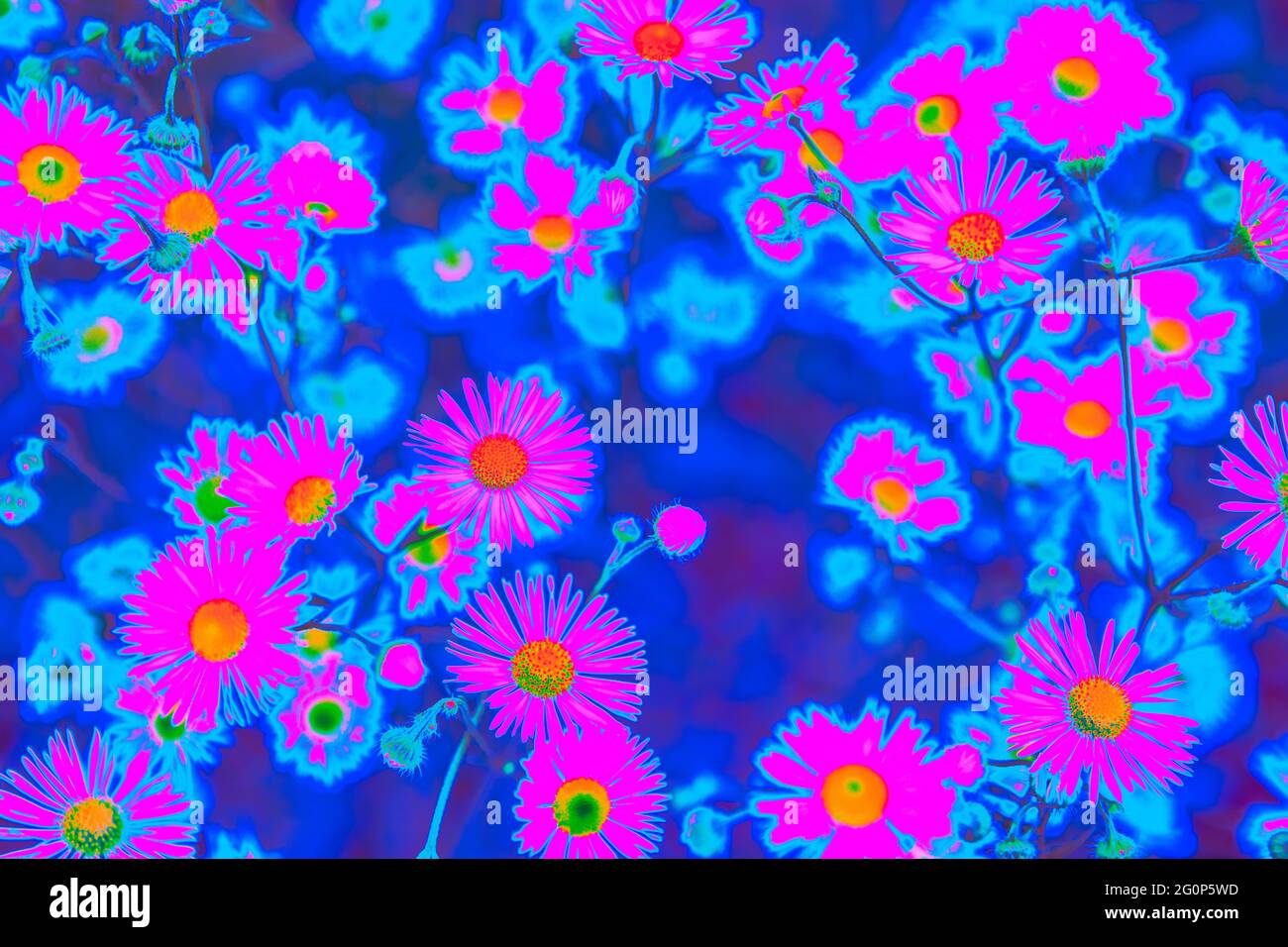 Bright pink holographic neon colored summer flowers Stock Photo - Alamy