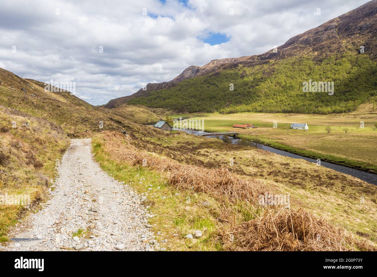 Walking the Glen Affric circuit. By common consent, Glen Affric is the ...