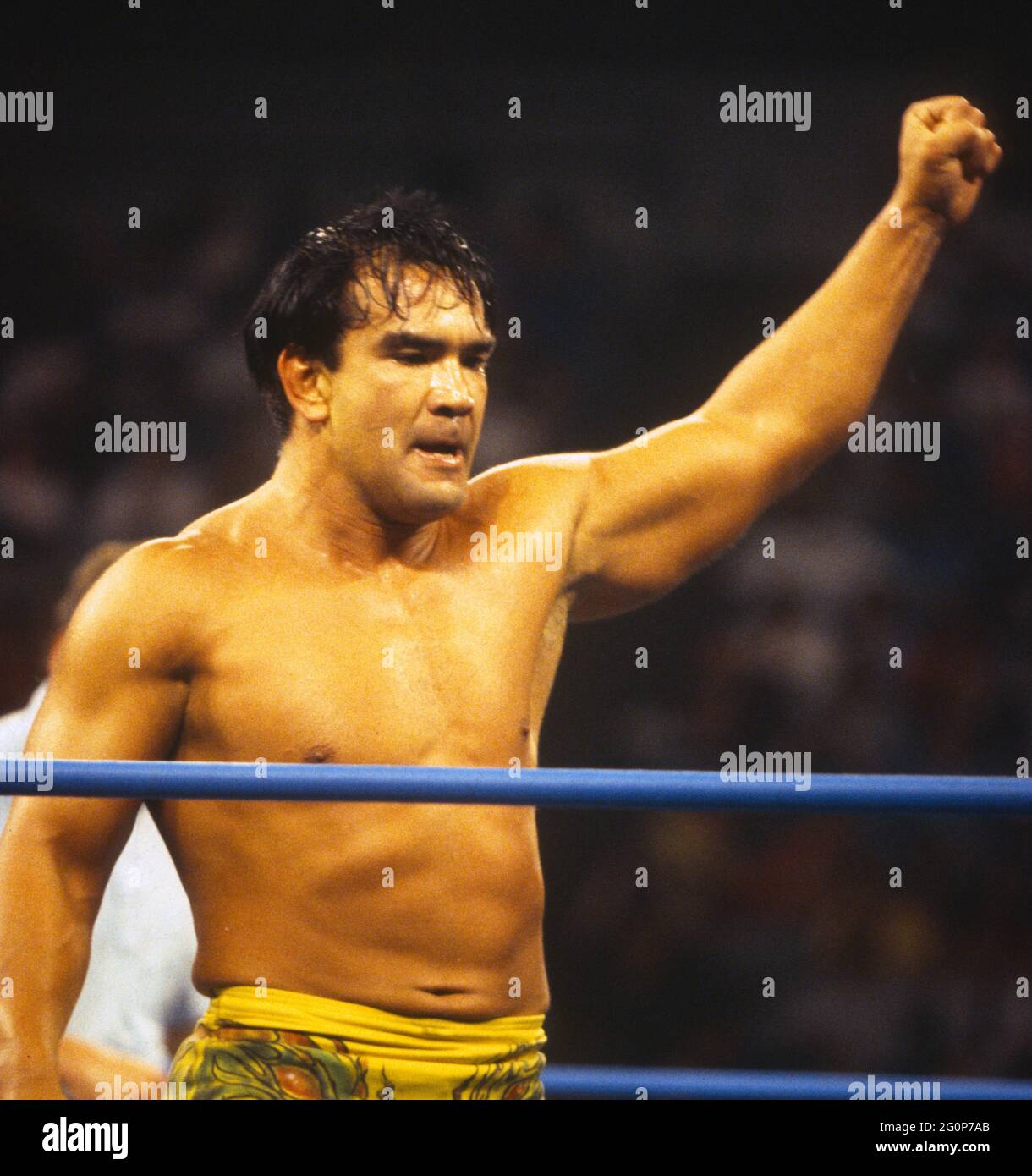 Ricky Steamboat 1993 Photo By John Barrett/PHOTOlink Stock Photo - Alamy