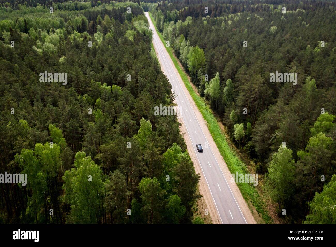 Car driving through forrest hi-res stock photography and images - Alamy
