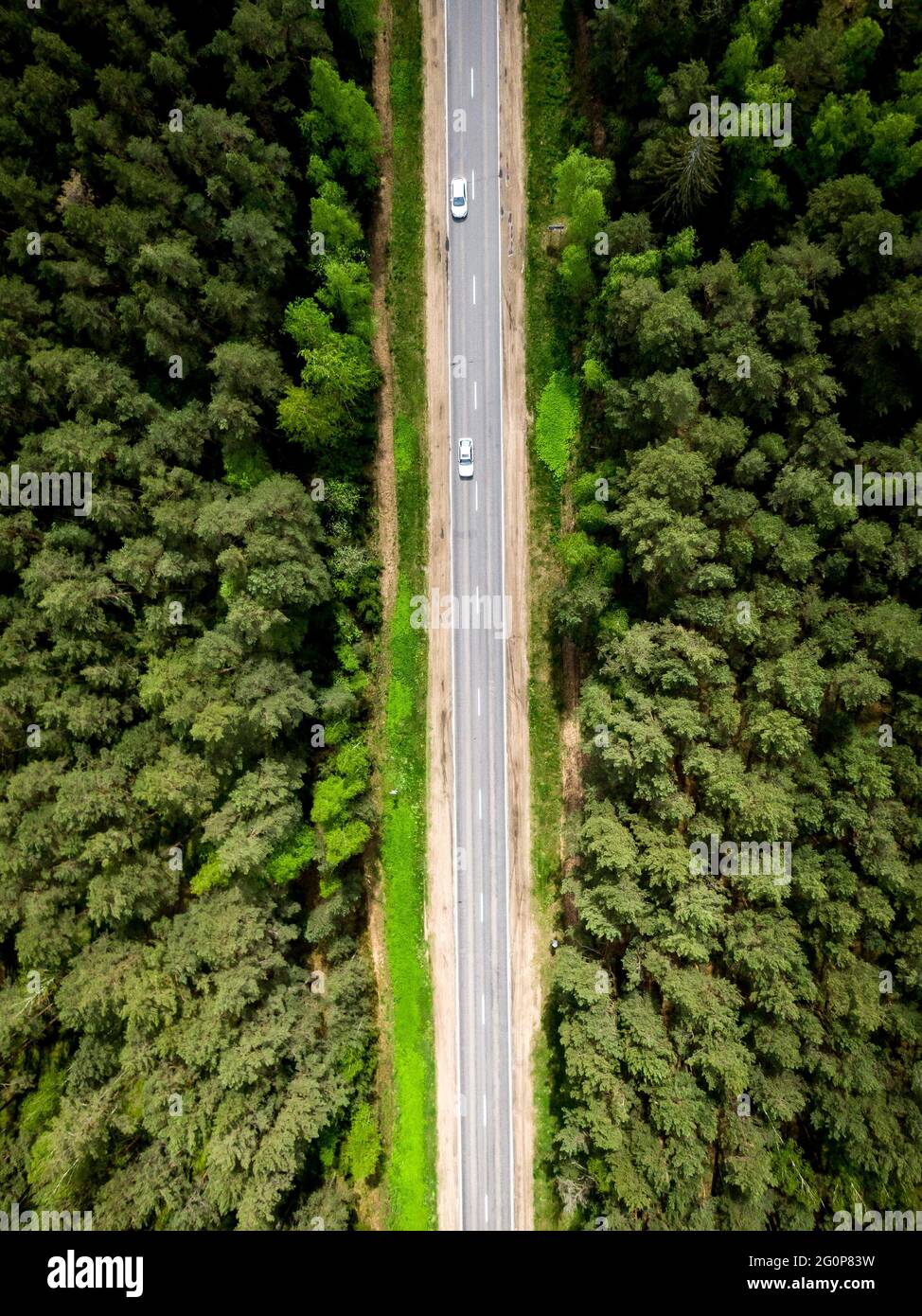 Car driving through forrest hi-res stock photography and images - Alamy