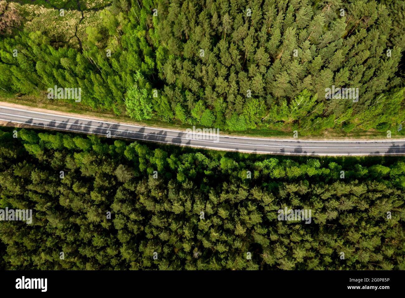 The road through the forest. Top view Stock Photo - Alamy