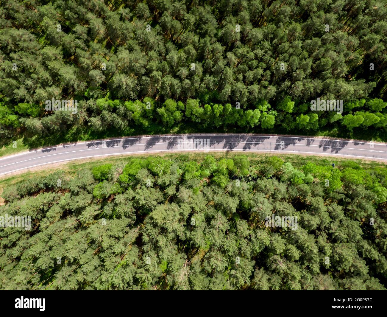 Car driving through forrest hi-res stock photography and images - Alamy