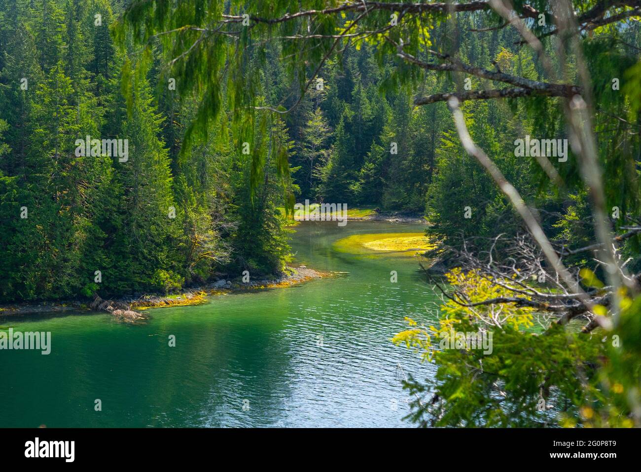 Pristine river estuary in the Pacific Northwest Stock Photo - Alamy