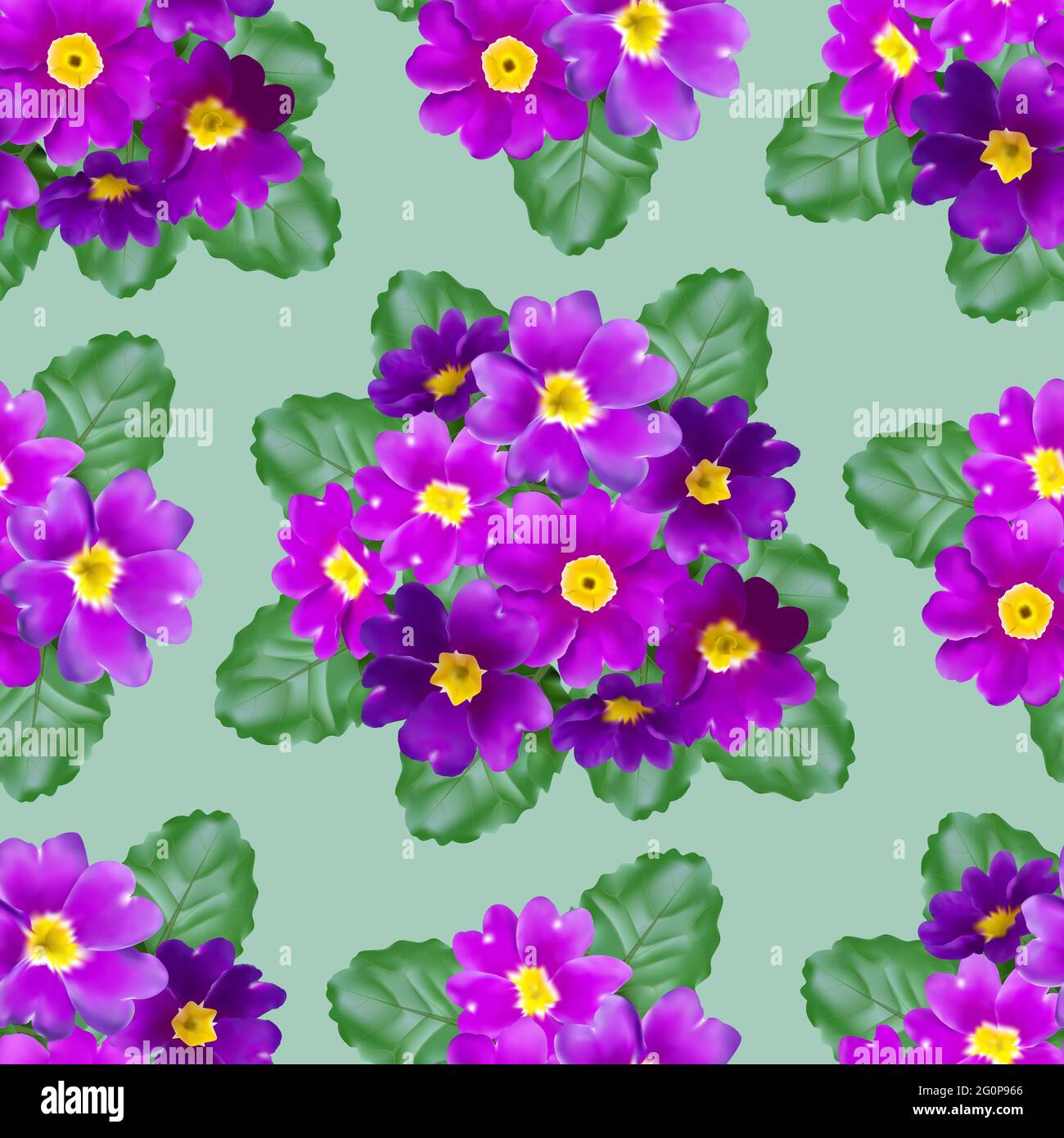 Primrose buds Stock Vector Images - Alamy