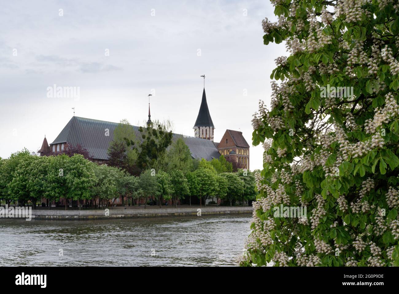 Pregel river hi-res stock photography and images - Alamy