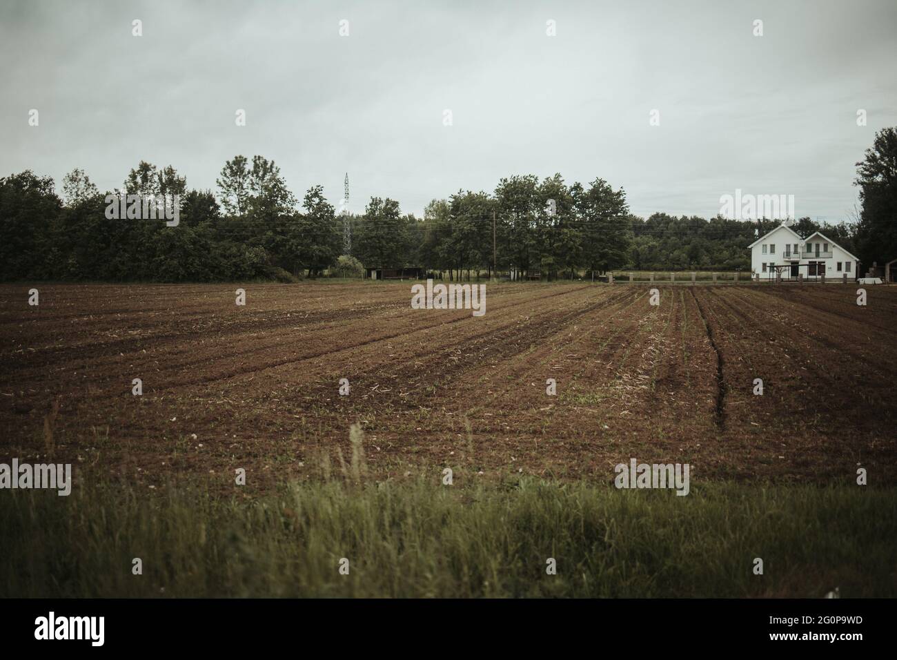 Beautiful country landscape of farmland with cottages in the background ...