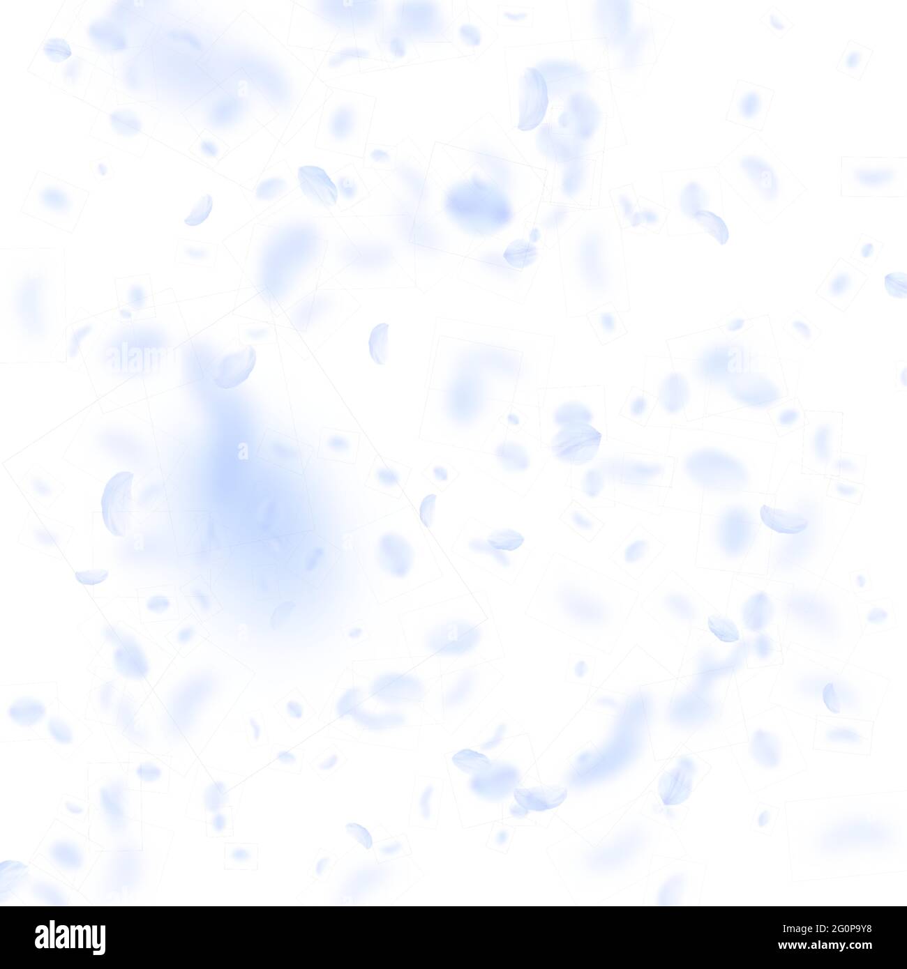 Light blue flower petals falling down. Surprising romantic flowers ...