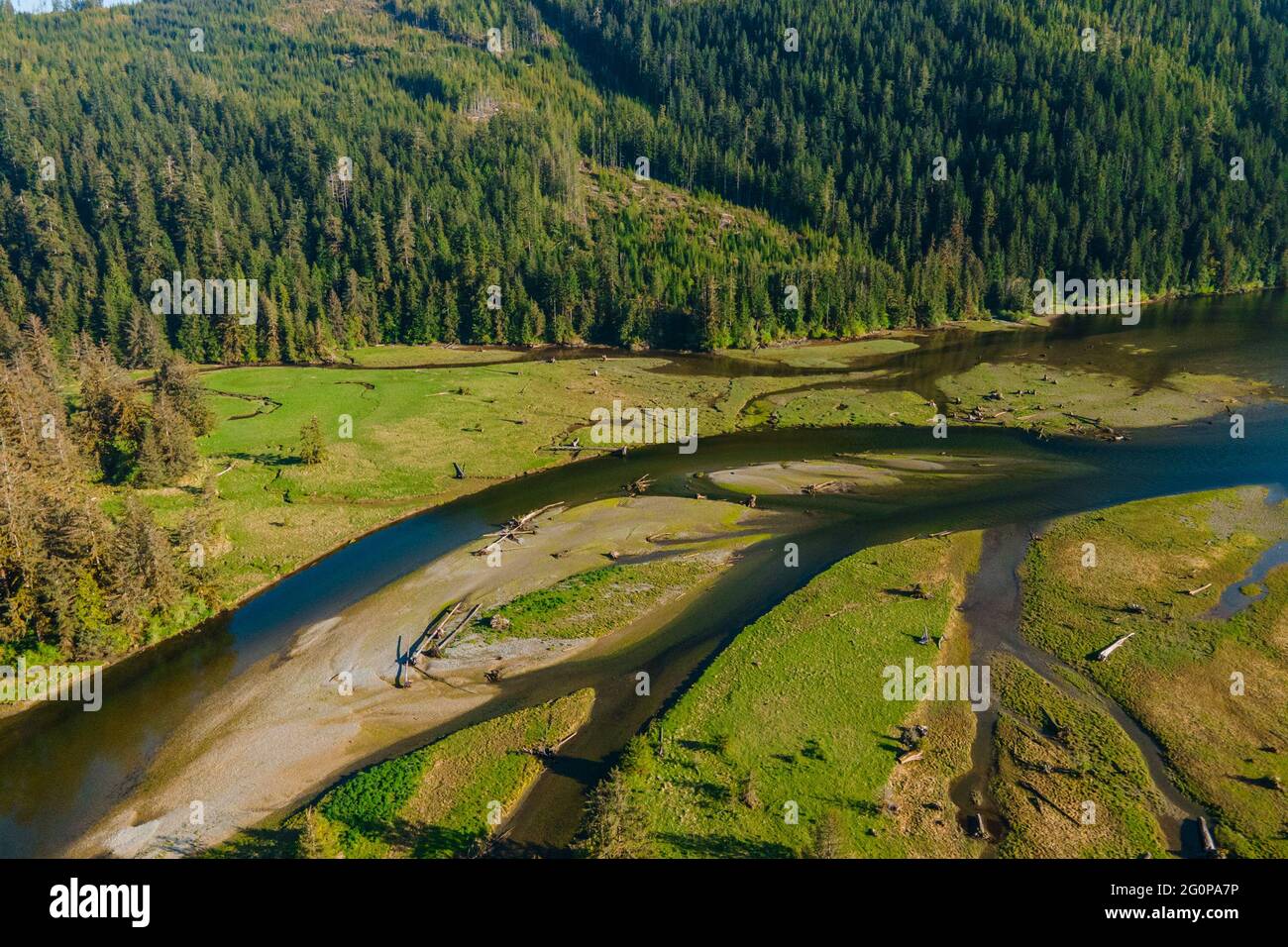 Conuma River estuary in the Northwest Coast of Vancouver Island Stock ... Conuma River estuary in the Northwest Coast of Vancouver Island Stock ...