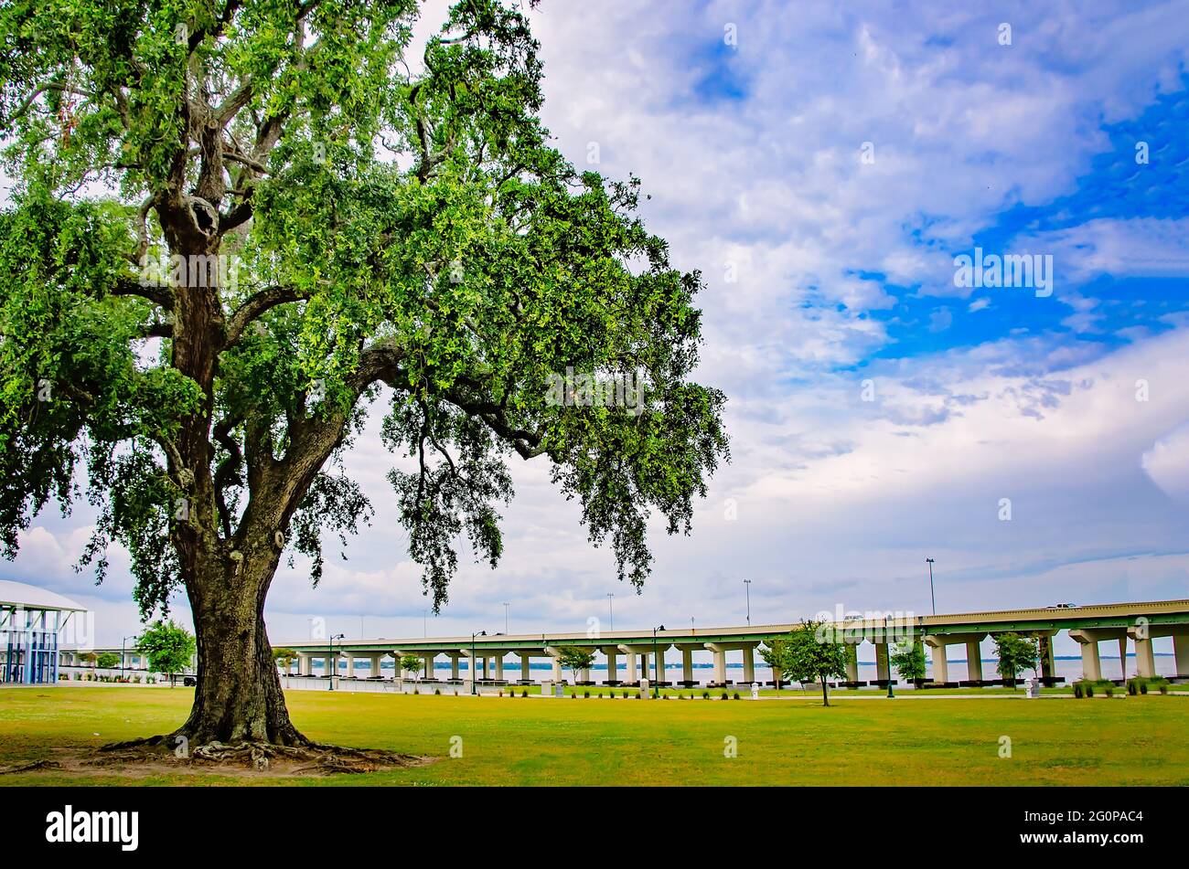 The Biloxi Bay Bridge is viewed from Point Cadet, May 29, 2021, in ...