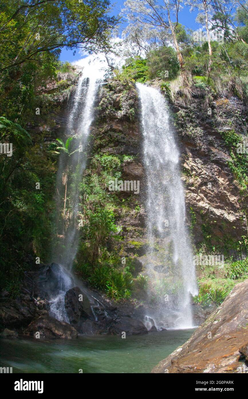 Twin Falls, Twin Falls Circuit, Springbrook National Park Stock Photo ...