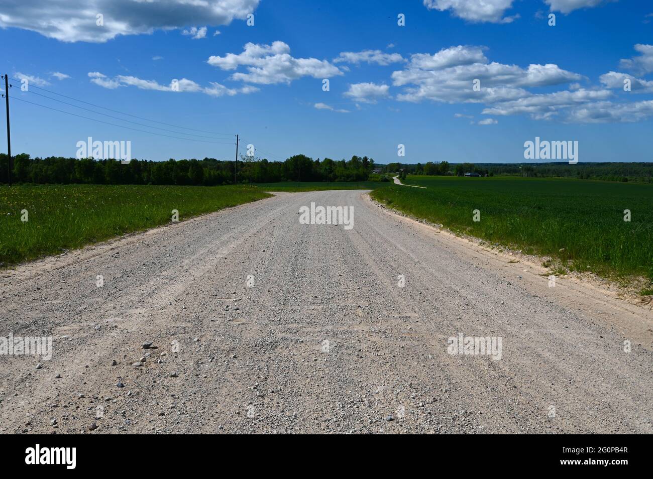 Gravel road in a rural area with cereal fields on both sides and blue ...