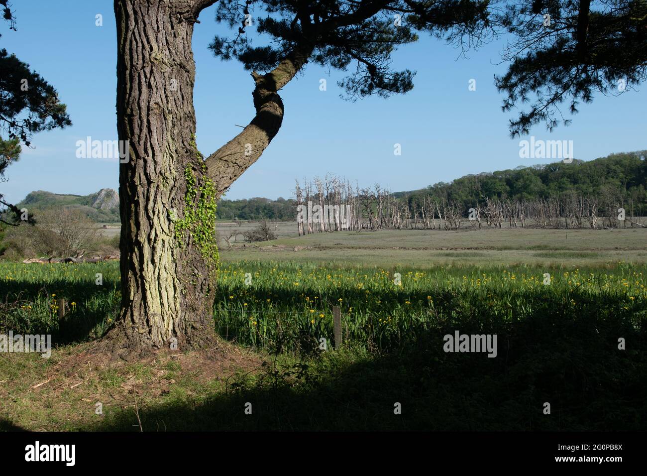 View from the Wales Coast path at Cwm Ivy, Llanmadoc on the Gower ...