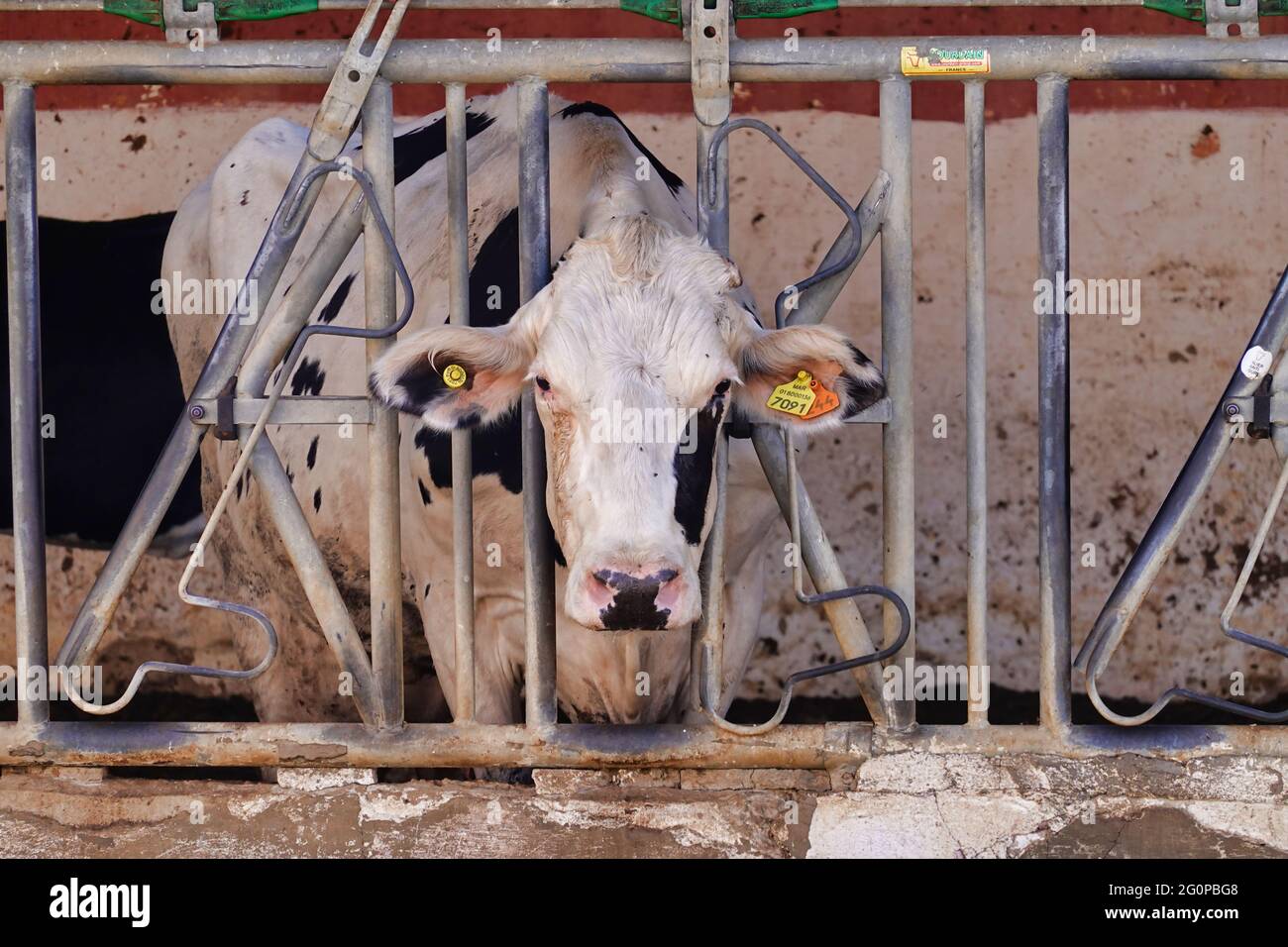 Ranch barricade hi-res stock photography and images - Alamy