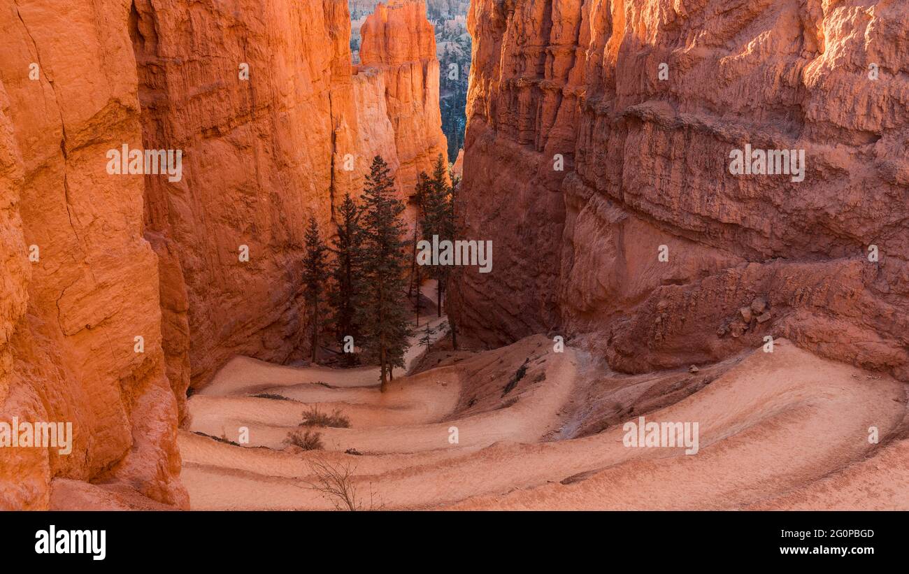 Navajo Loop Trail, Bryce Canyon, Utah, USA Stock Photo - Alamy