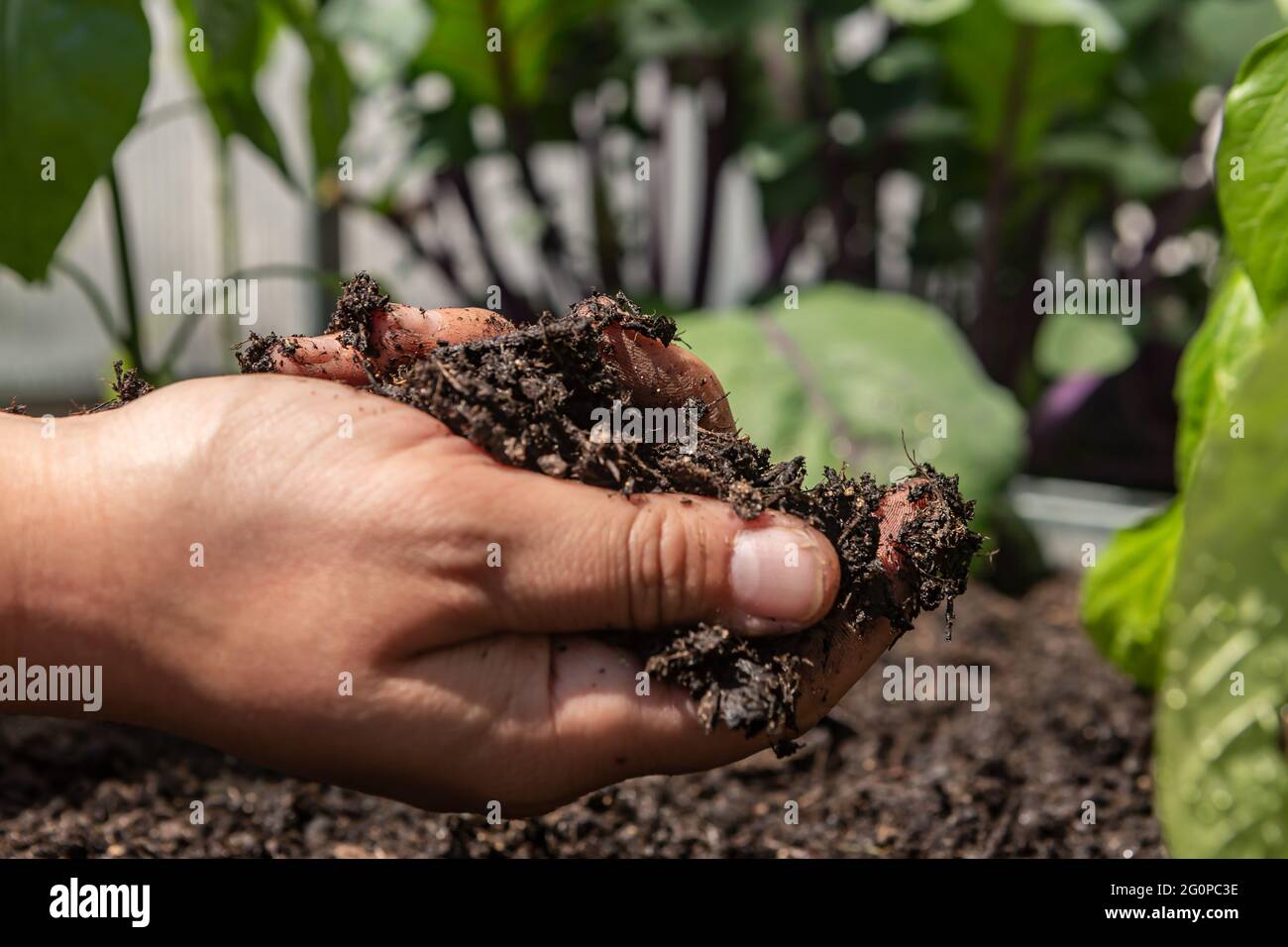 Garden Mold High Resolution Stock Photography and Images - Alamy