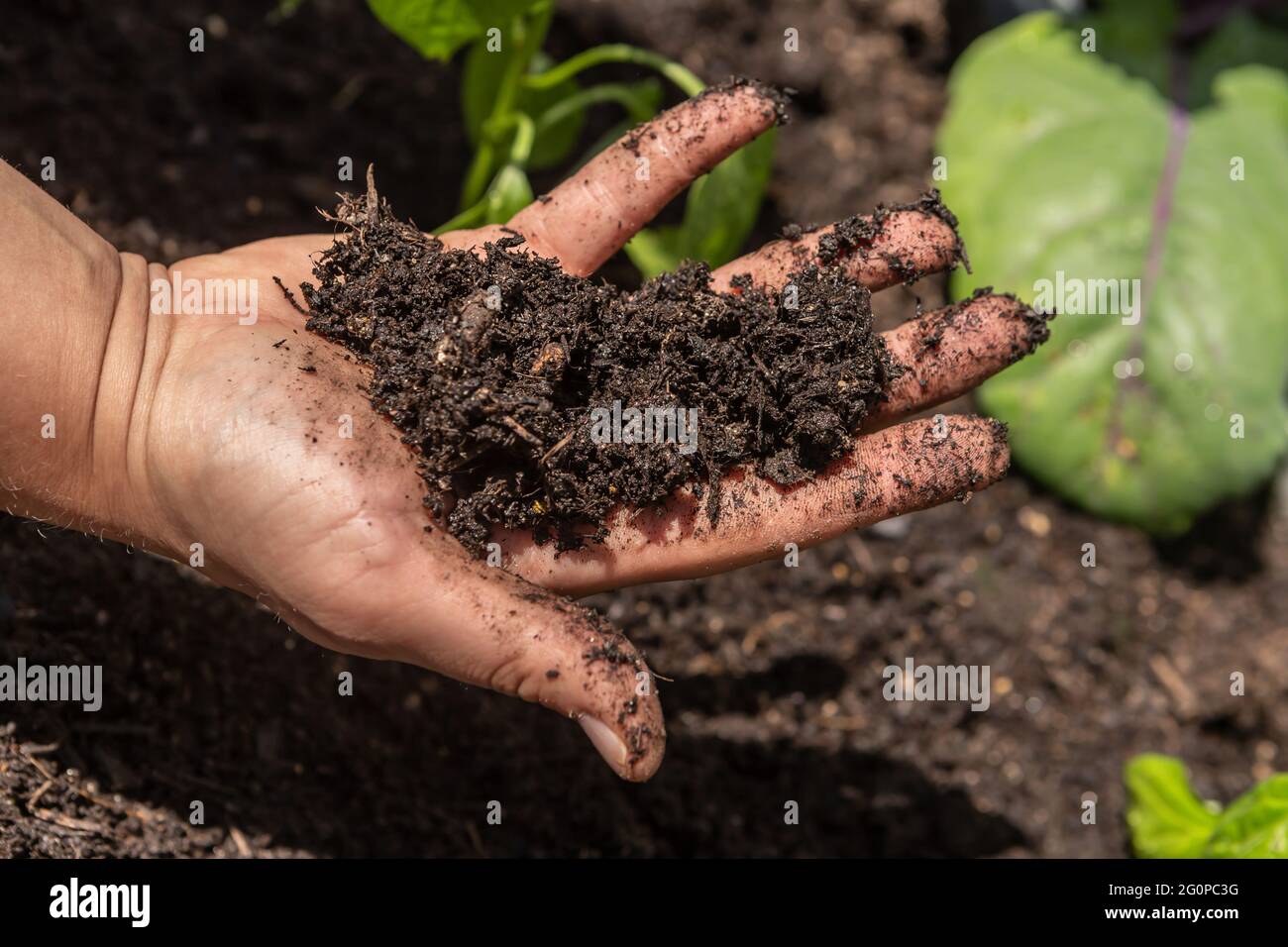 Hand mould hi-res stock photography and images - Alamy