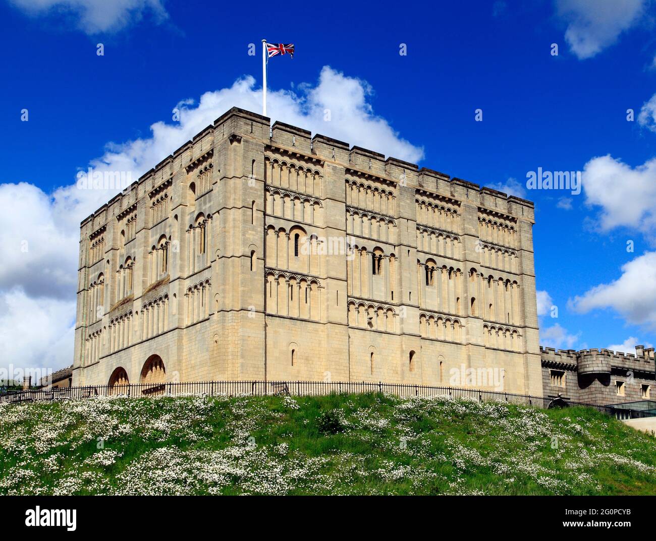 Norwich Castle, Norman, architecture, Keep, Norfolk, England, UK Stock ...