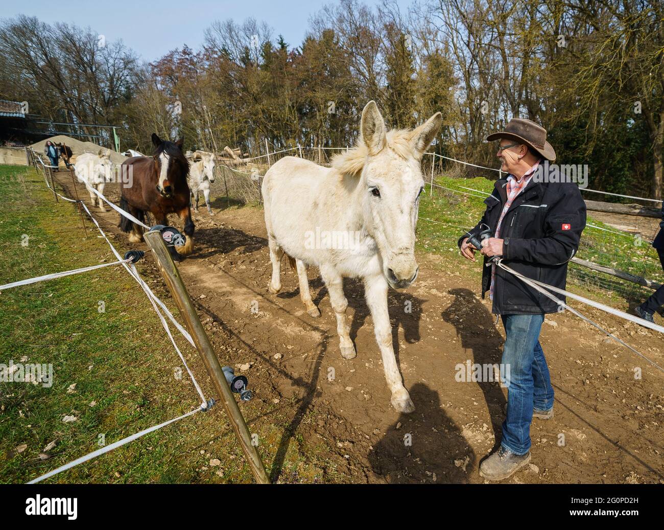 Supporting vehicles hi-res stock photography and images - Alamy