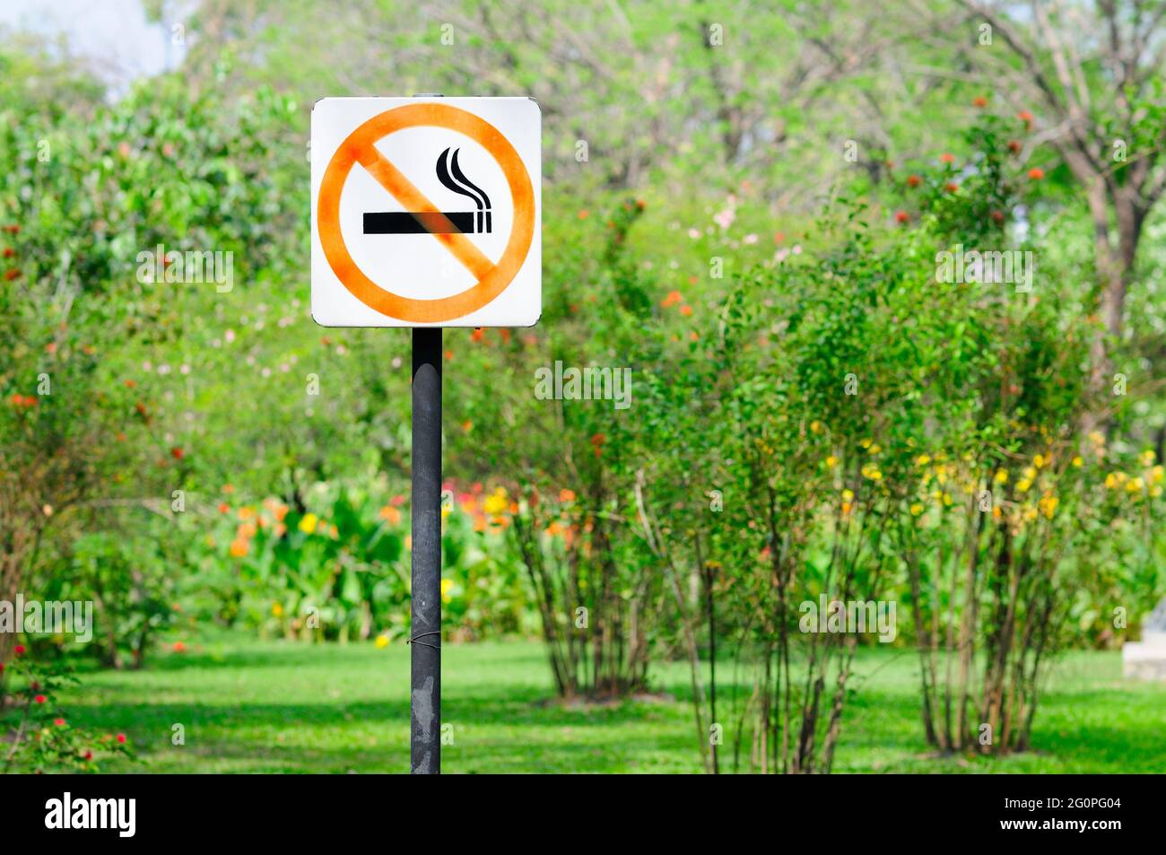 No Smoking Sign in a Park Stock Photo - Alamy