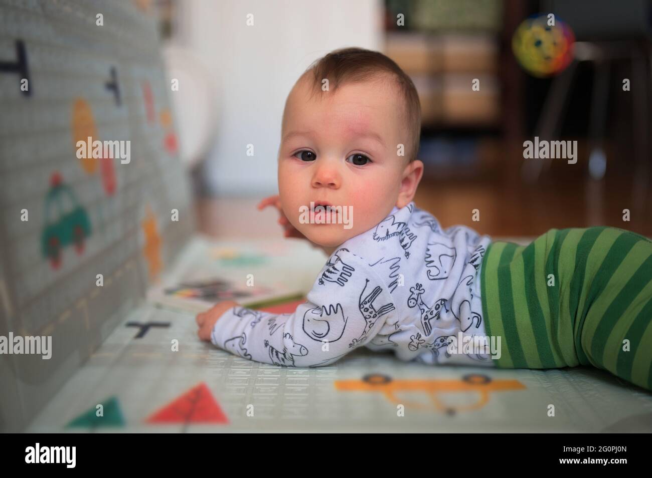 Portrait of cute little baby playing Stock Photo - Alamy