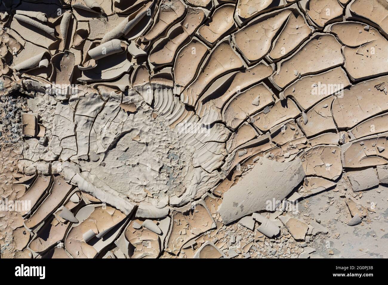 Dried footprint on cracked mud in Badlands National Park, South Dakota ...