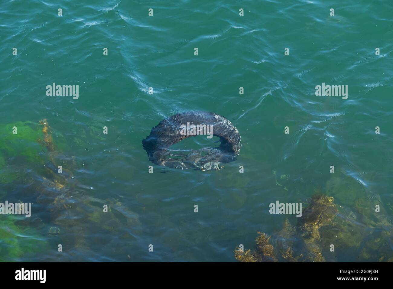 worn car tire floating in the sea with sunlight Stock Photo - Alamy