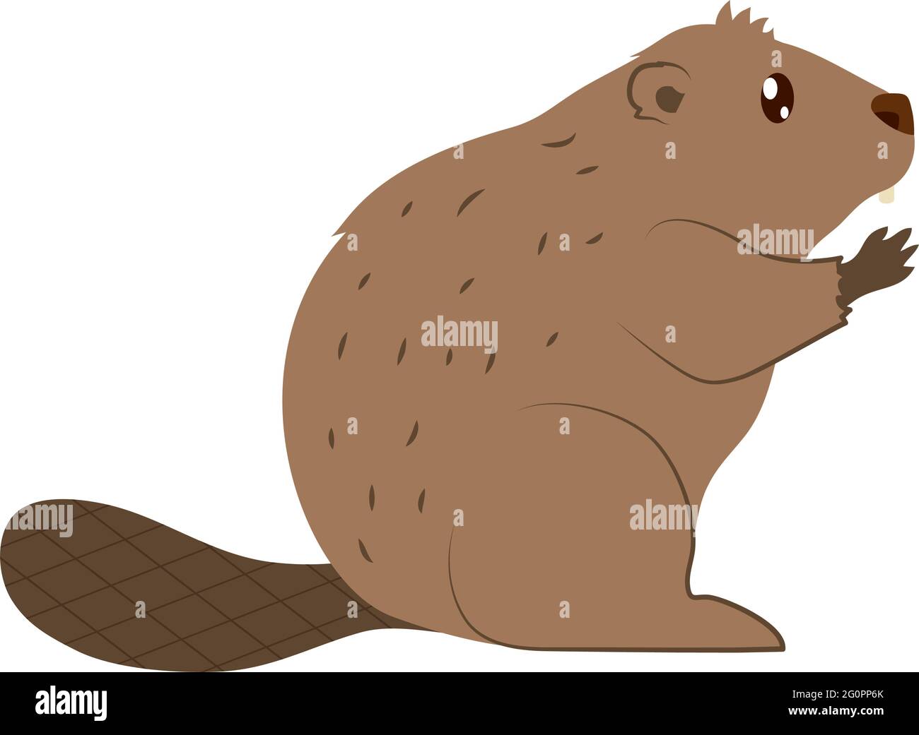beaver icon on white background Stock Vector Image & Art - Alamy
