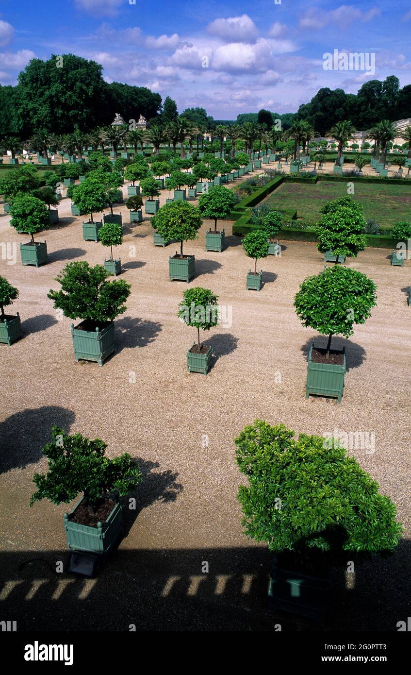 Orangerie Palace Of Versailles High Resolution Stock Photography and ...