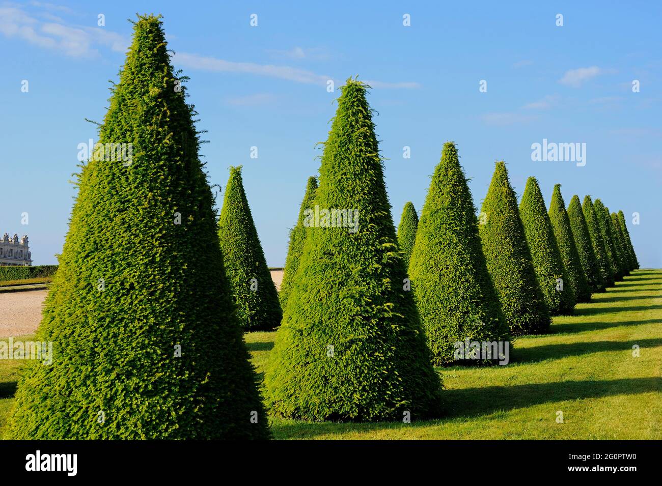 FRANCE, YVELINES (78) DOMAINE DE VERSAILLES Stock Photo - Alamy