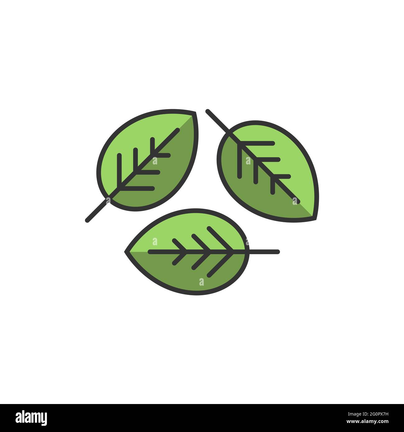 Three leaves eco recycle icon. isolated on white. Vector illustration ...