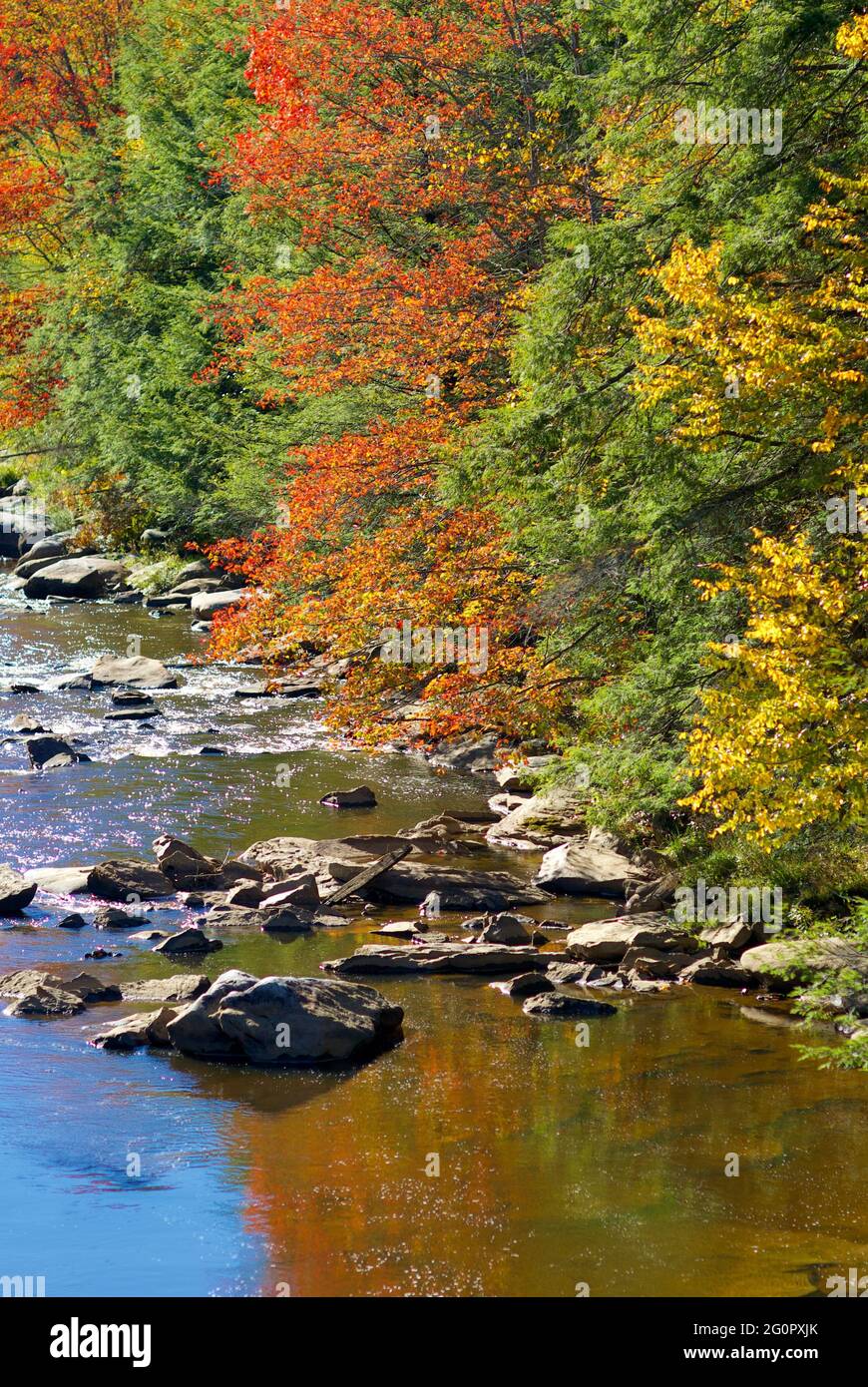 Vibrant colors are seen on tree leaves changing during autumn along the ...