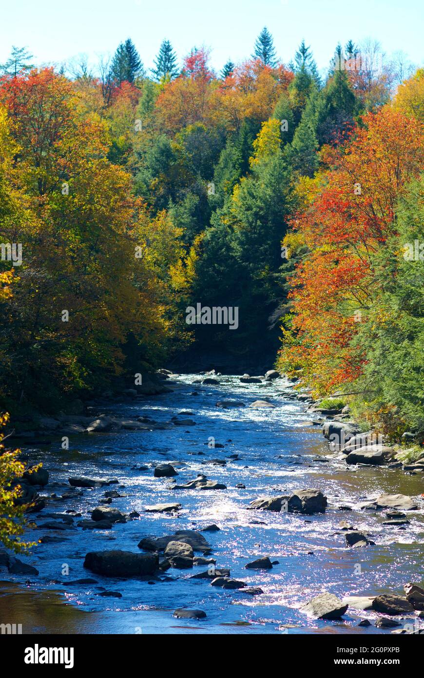 Vibrant colors are seen on tree leaves changing during autumn along the ...