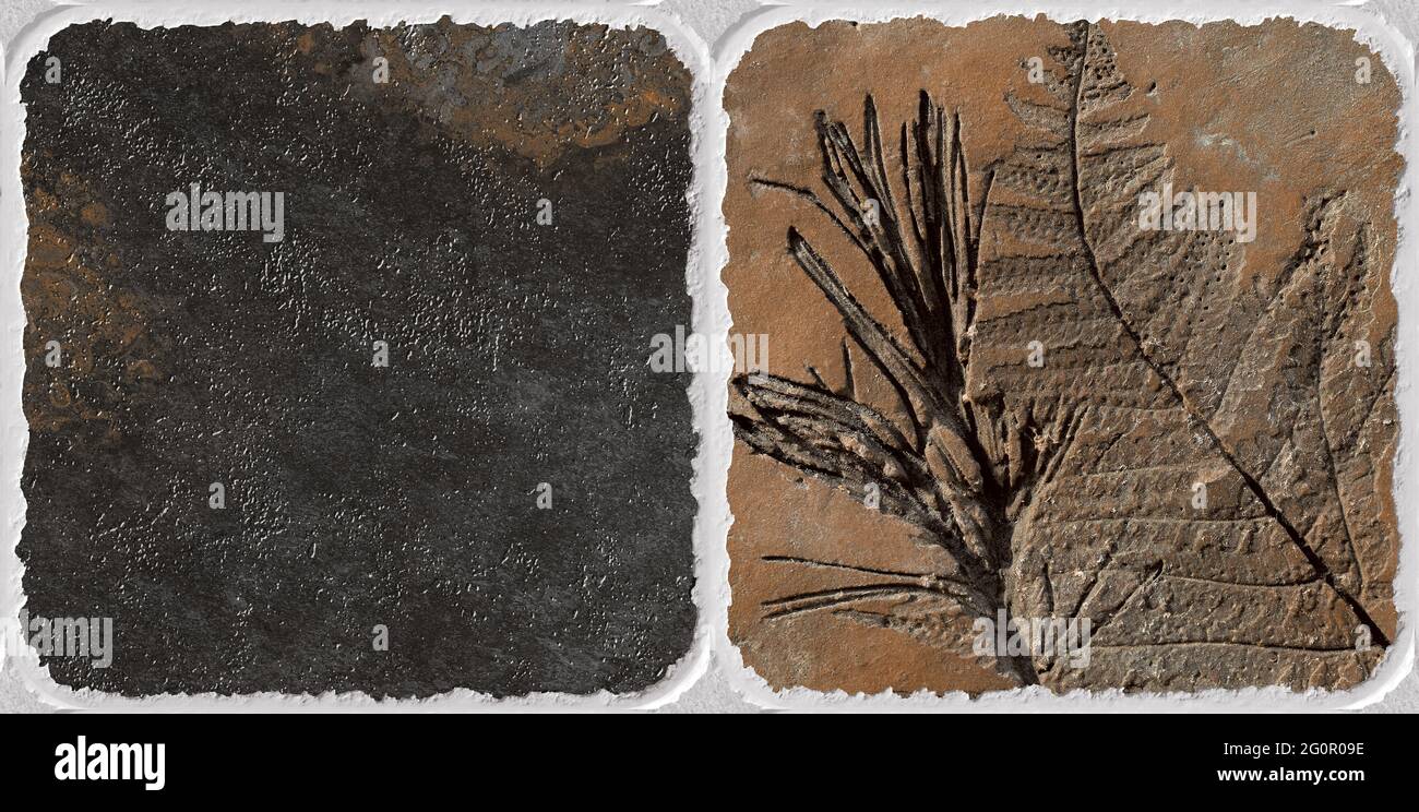 brown and grey color floral design texture emboss effect use for wall ...