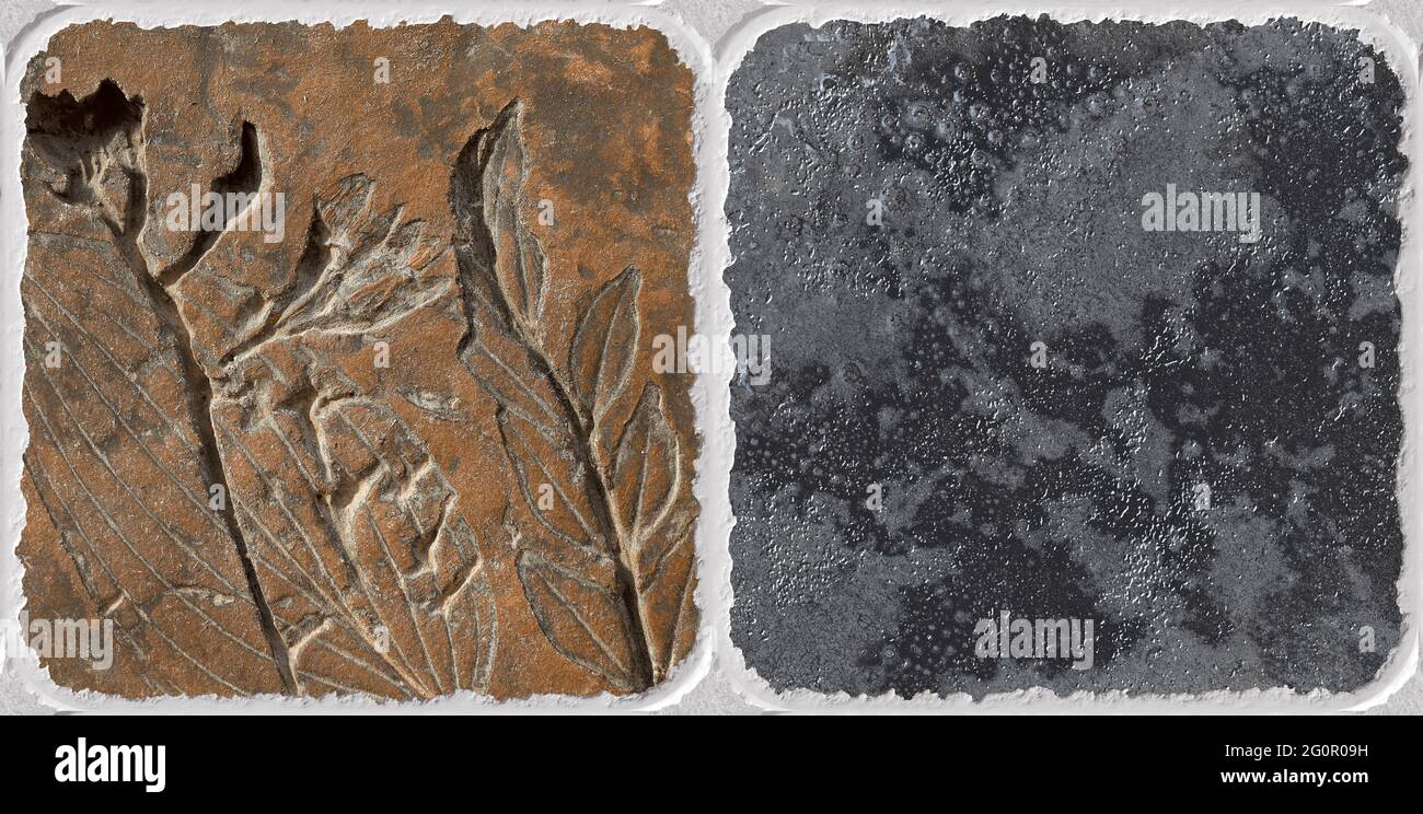 brown and grey color floral design texture emboss effect use for wall ...