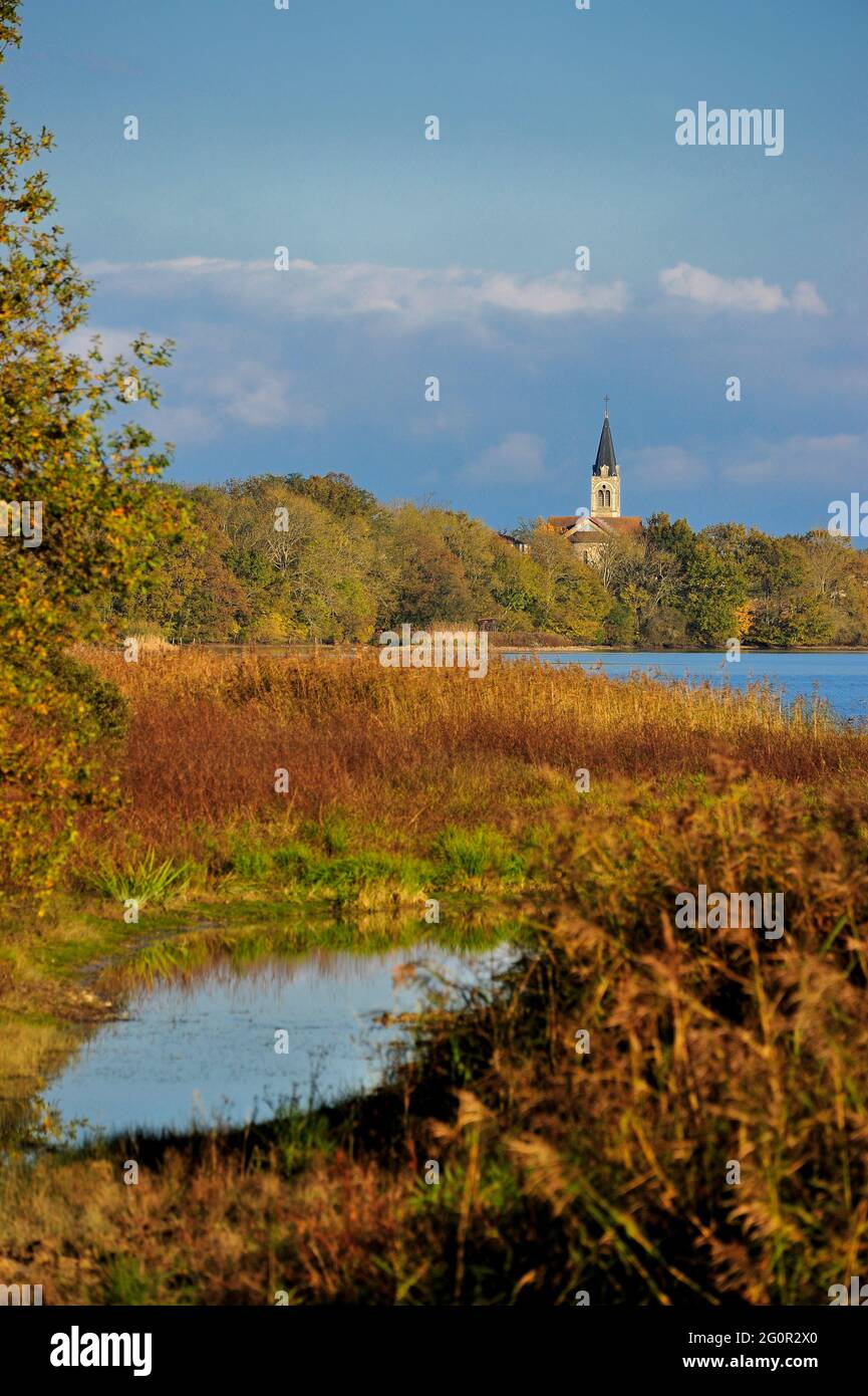 Dombes pond hi-res stock photography and images - Alamy