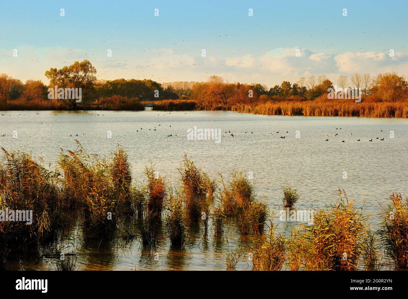 Les dombes hi-res stock photography and images - Alamy