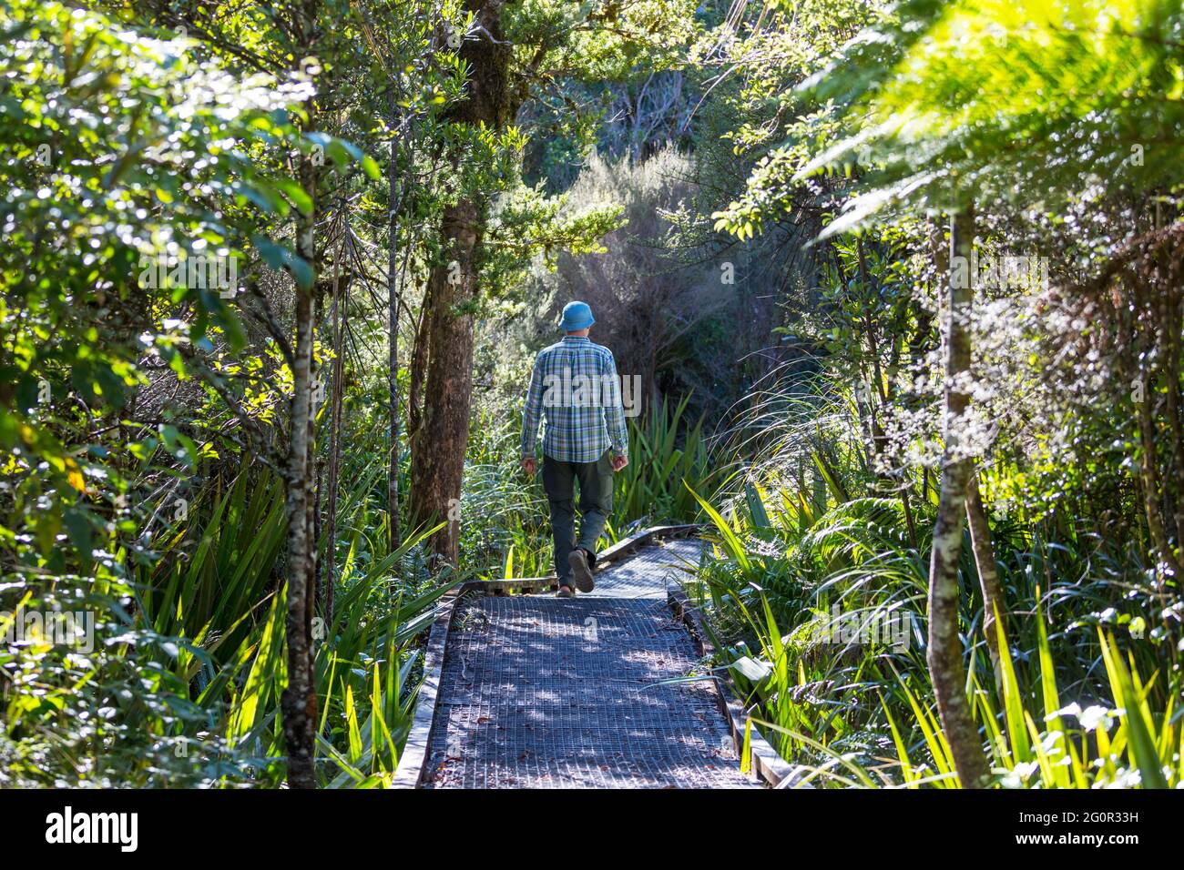 Hiking and tramping in New Zealand. Travel and adventure concept Stock ...