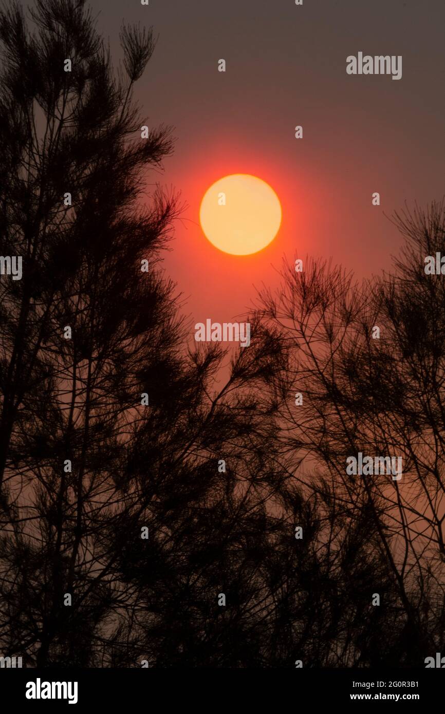 The Sun during the Australian Bushfire Season Stock Photo - Alamy